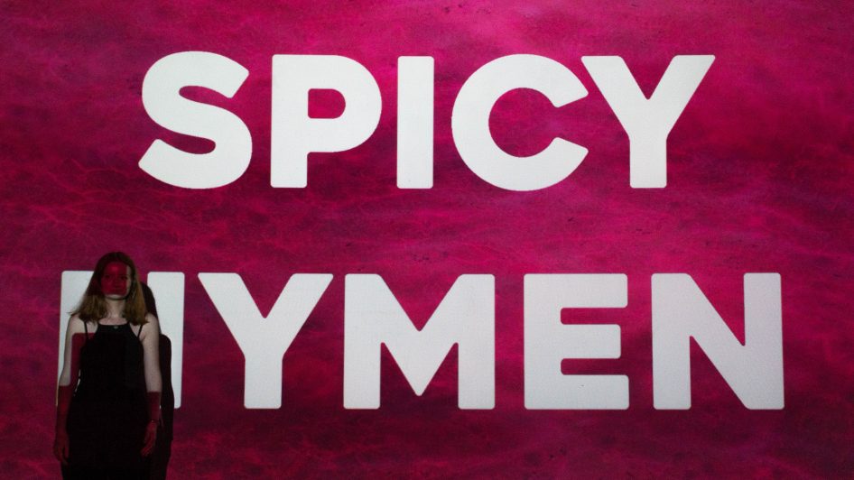 Bossche Kunststudenten winnen 2.500 euro met afstudeerwerk - Punt.